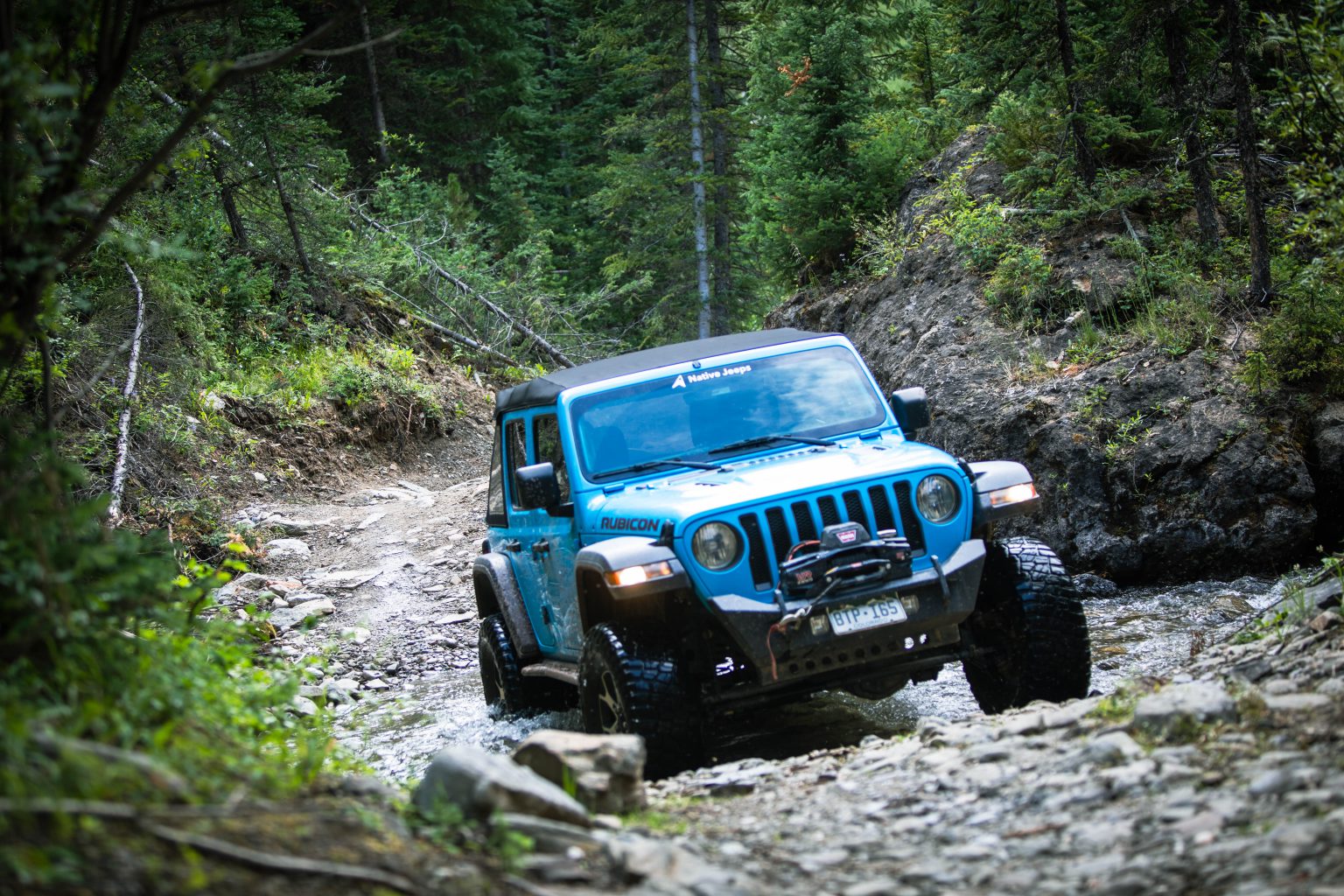 Native Jeeps - Unforgettable Colorado tours